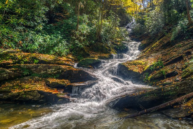 Half Day Hike - Water Falls - The Experience’s Highlights and Challenges