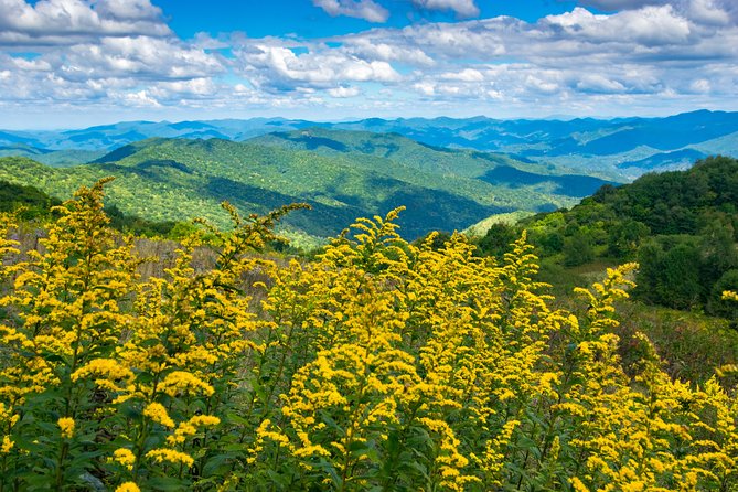 Half-Day Hike with Long Range Views from Asheville - A Closer Look at the Half-Day Hike with Long Range Views from Asheville