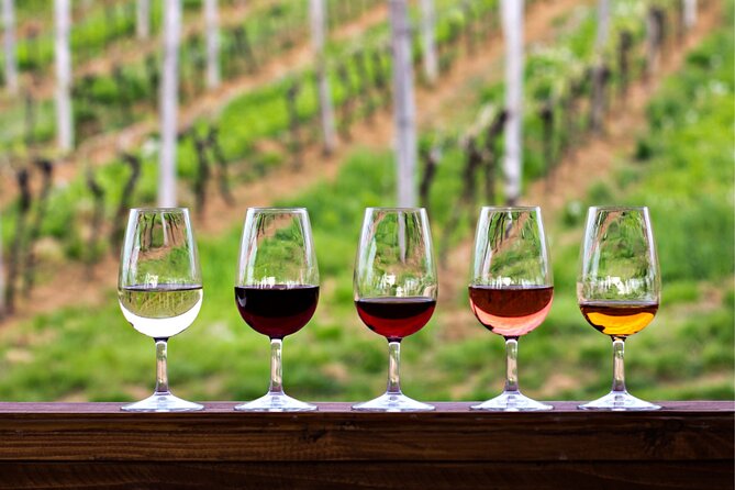 Half-Day Hill Country Wine Shuttle From Austin - Discover the Charm of Texas Hill Country on a Half-Day Wine Shuttle from Austin