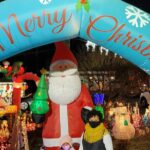 Half-Day Holiday and Tacky Lights Tour in Richmond - Value for Money