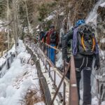 Half-Day Ice Climbing - Ouray Ice Park - The Experience: What to Expect