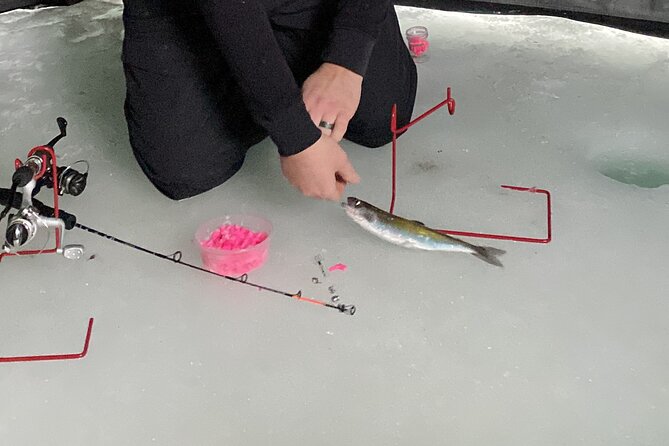 Half Day Ice Fishing Adventure in Wasilla - Key Points
