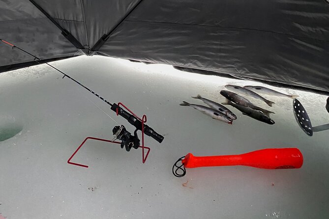 Half Day Ice Fishing Adventure in Wasilla - Is It Worth the Price?