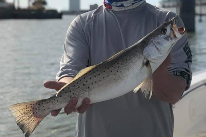 Half-Day Jetty Fishing Trip from Galveston - Atmosphere and Views