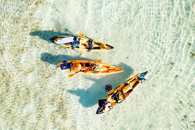 Half-Day Kaneohe Bay Sandbar Self-Guided Kayaking Experience - Why This Tour Is a Great Choice
