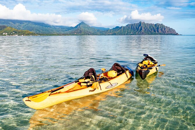 Half-Day Kaneohe Bay Sandbar Self-Guided Kayaking Experience - The Sum Up