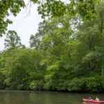 Half Day Kayak Adventure for 2 people - An Overview of the Experience