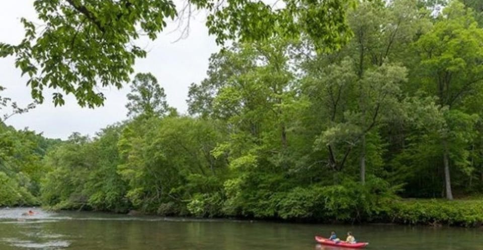 Half Day Kayak Adventure for 2 people - An Overview of the Experience