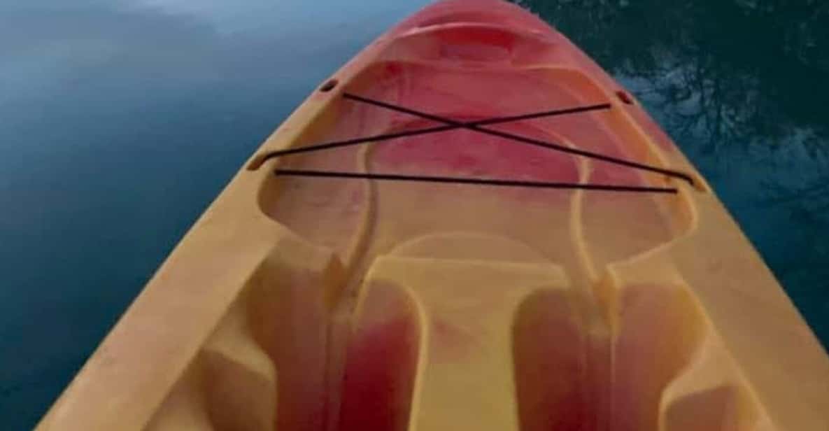 Half Day Kayak Adventure for single person - Key Points
