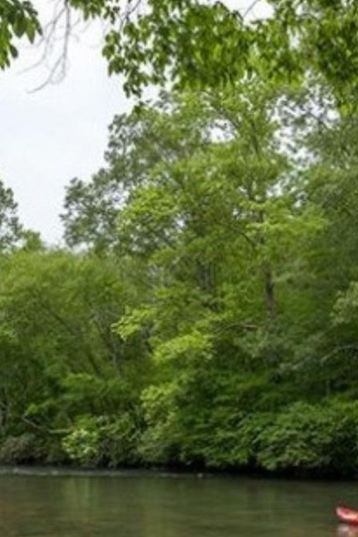 Half Day Kayak Adventure for single person - What Reviewers Say