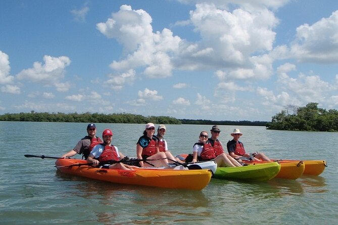 Half Day Kayak or SUP Rental (3hr) - Pelican Bay - Why Choose This Experience?