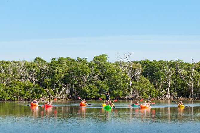 Half-Day Morning Trip from Key West with Kayaking and Snorkeling - The Details of the Itinerary