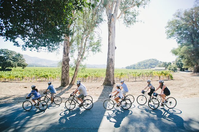 Half-Day Napa Valley E-Bike Tour - What Makes This Tour Stand Out?