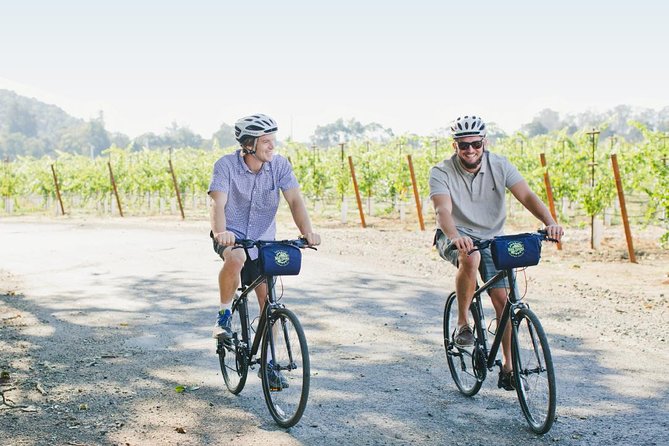 Half-Day Napa Valley E-Bike Tour - The Cost & Value