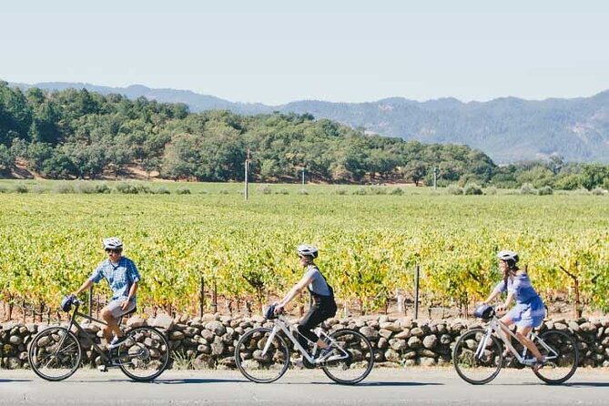Half-Day Napa Valley E-Bike Tour - Who Should Consider This Tour?