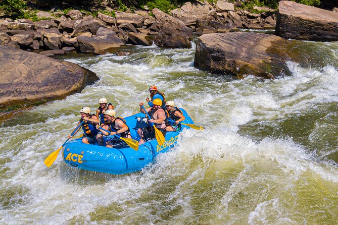 Half Day New River Gorge Whitewater Rafting - Key Points