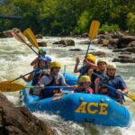 Half Day New River Gorge Whitewater Rafting - An In-Depth Look at the Experience