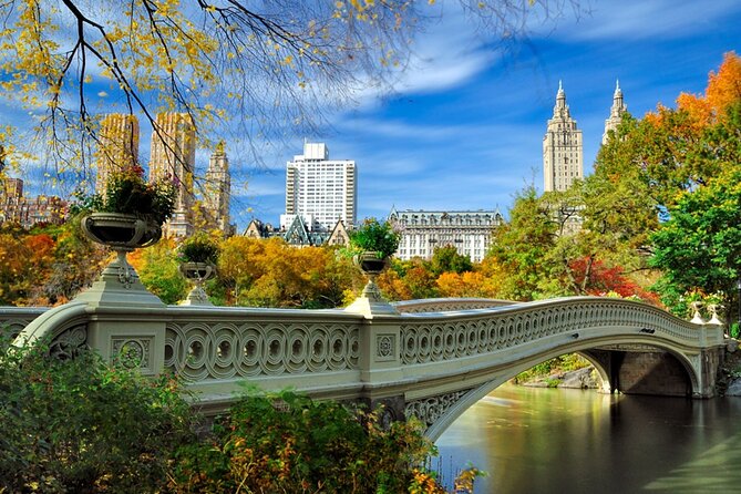 Half Day New York City Private Tour - Who Is This Tour Best For?