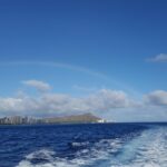 Half Day Oahu Combo Adventure: Bike, Sail and Snorkel - Wildlife Encounters