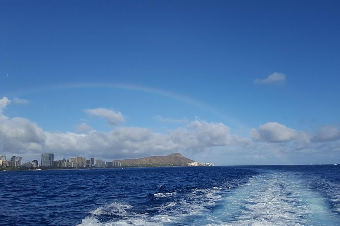 Half Day Oahu Combo Adventure: Bike, Sail and Snorkel - Wildlife Encounters
