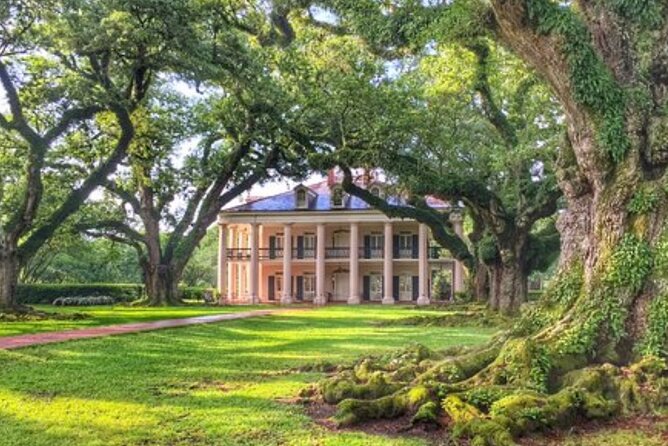 Half-Day Oak Alley Plantation Tour in Vacherie - A Deeper Look at the Experience