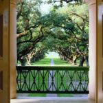Half-Day Oak Alley Plantation Tour in Vacherie - Who Is This Tour Best For?