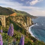 Half Day Private Big Sur Driving Tour in California - The Itinerary That Packs a Punch