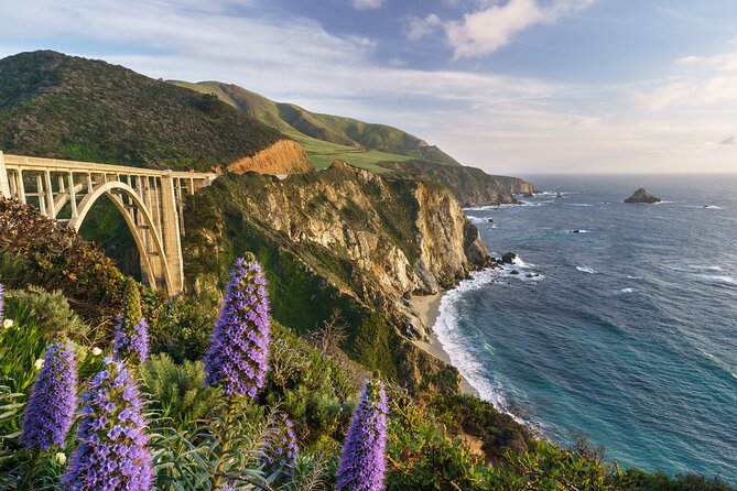 Half Day Private Big Sur Driving Tour in California - The Itinerary That Packs a Punch