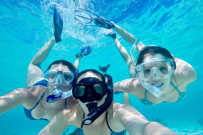 Half Day Private Boat Tour - Who Should Book This Tour?
