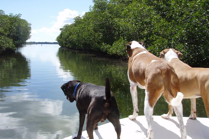 Half Day Private Boat Tour - FAQ