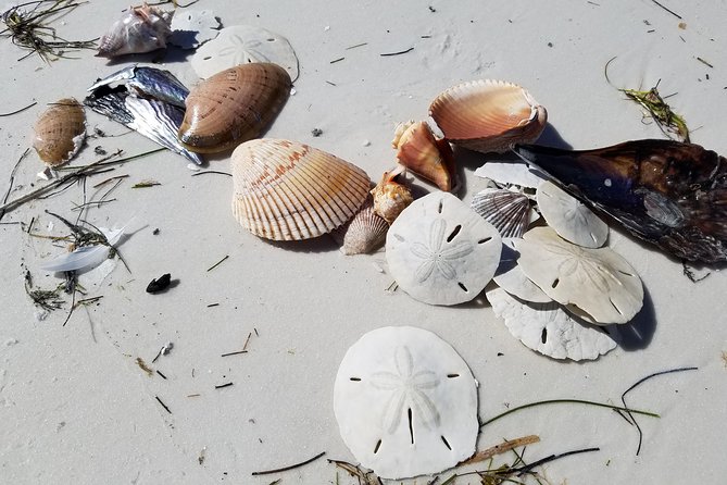 Half-Day Private Boating On Black Hurricane - Indian Rocks Beach - Final Thoughts