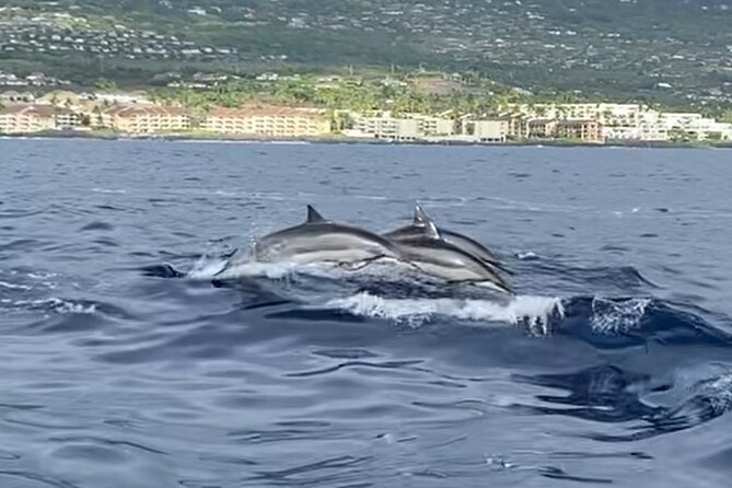 Half Day Private Cruise Tour with Snorkeling and Fishing in Kona - Who Will Love This Experience?