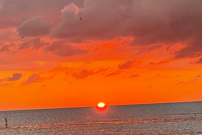 Half Day Private Fishing Trip with Site Seeing Around Anna Maria Island - The Experience Itself: An In-Depth Look