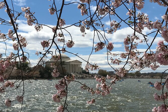 Half-Day Private Guided Bike Tour in Washington - Why This Tour Offers Great Value