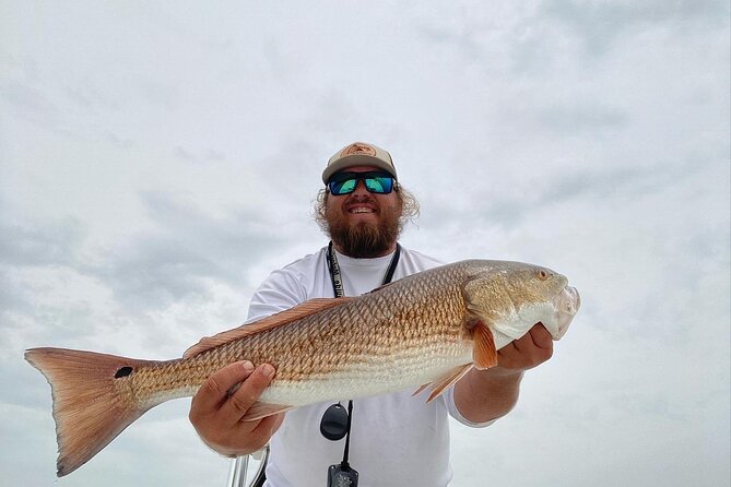 Half-Day Private Guided Inshore Fishing Charter on the Nature Coast - Fish Species and Catch Opportunities