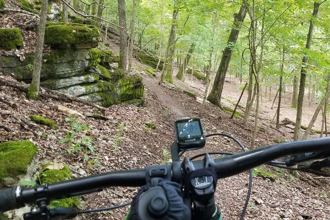 Half-Day Private Guided Mountain Bike Tour in Bentonville - What to Expect from the Itinerary