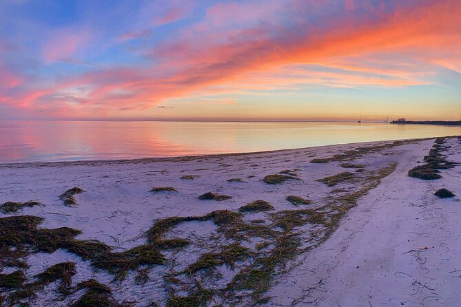 Half-Day Private Guided Nature of Floridas Gulf Coast Eco Tour - Who Will Love This Tour?