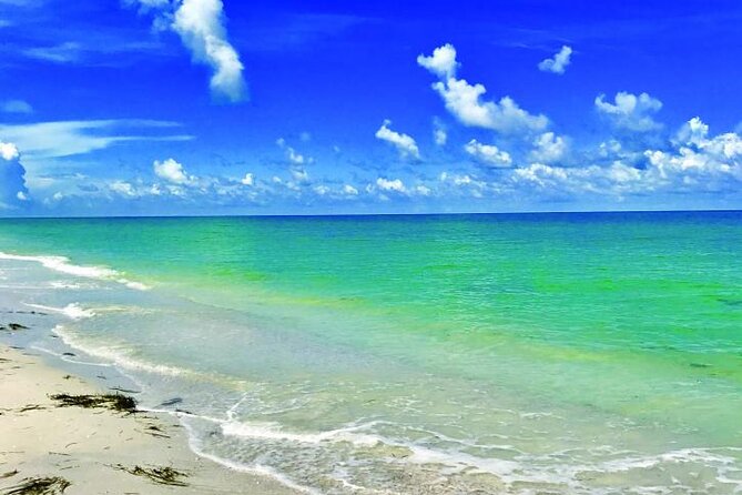 Half-Day Private Guided Nature of Floridas Gulf Coast Eco Tour - The Sum Up: Is It Worth It?