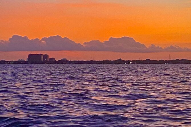 Half-Day Private Guided Sailing Adventure of Miami's Biscayne Bay - An In-Depth Look at the Biscayne Bay Sailing Adventure