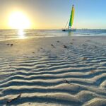 Half-Day Private Guided Sailing Adventure of Miami's Biscayne Bay - Why This Tour Is a Great Choice for Certain Travelers