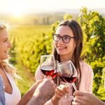 Half-Day Private Long Island Wine Tour Experience - What Travelers Should Know