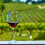 Half-Day Private Niagara County Wine Tour Experience - The Experience in Detail