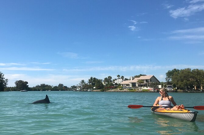 Half-Day Private Sarasota Charter Tour with Wildlife Watching - What Is the Sarasota Wildlife Watching Tour All About?