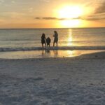 Half-Day Private Sarasota Charter Tour with Wildlife Watching - The Itinerary Breakdown: What Can You Expect?