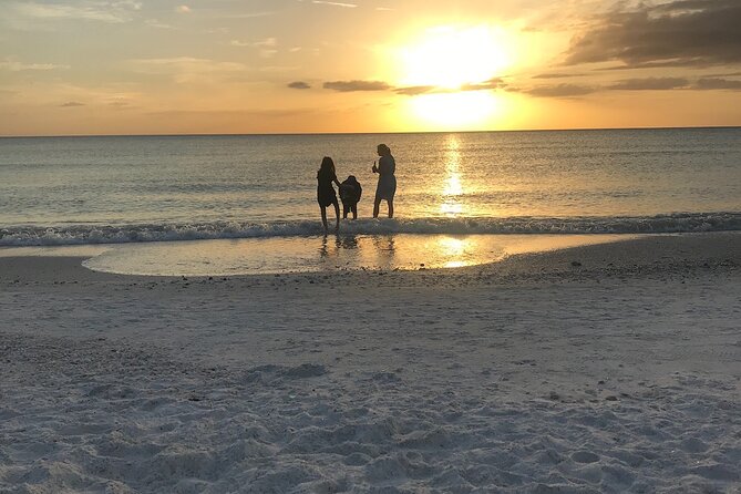 Half-Day Private Sarasota Charter Tour with Wildlife Watching - The Itinerary Breakdown: What Can You Expect?