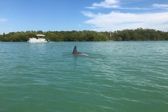 Half-Day Private Sarasota Charter Tour with Wildlife Watching - The Value Proposition