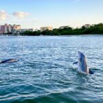 Half-Day Private Tiki Boat Beach Tour from Fort Myers - The Value of This Tour