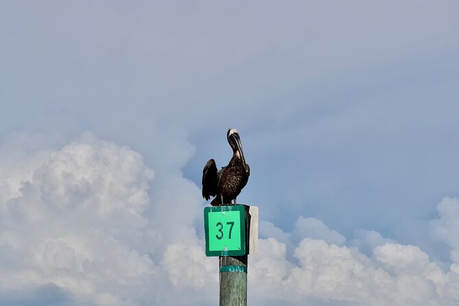 Half-Day Private Tiki Boat Beach Tour from Fort Myers - Frequently Asked Questions