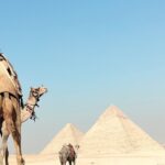 Half day Private Tour Giza pyramids the Sphinx and Camel Ride - Who Will Love This Tour?