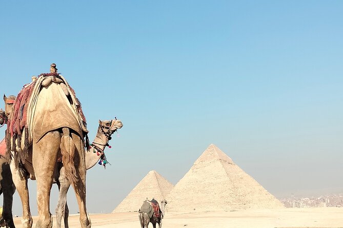 Half day Private Tour Giza pyramids the Sphinx and Camel Ride - Who Will Love This Tour?